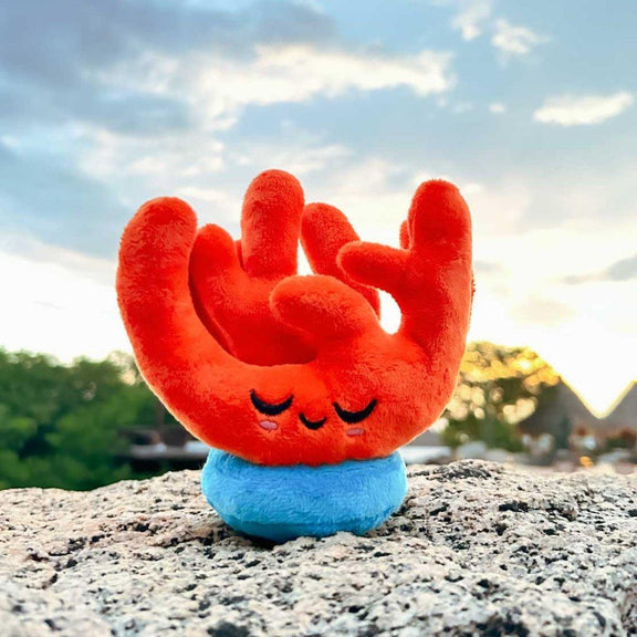 Hope - Coral Teddy | Environmental awareness